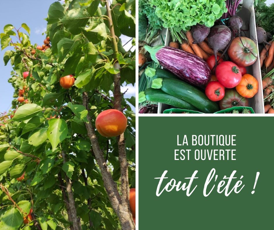 Boutiques et Marchés cet été – Ferme de la Haye